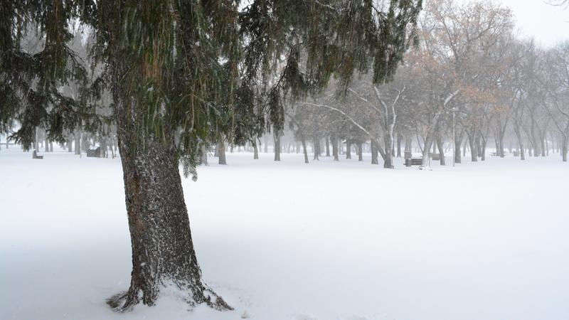 Big snowfall hits P.A. and Northeast | northeastNOW