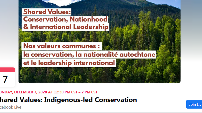 Shared Values: Indigenous-led Conservation | northeastNOW