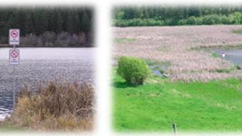 Spallumcheen assumes control of five water districts | Vernon Matters