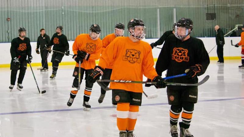 Cubs season cancelled following decision on Junior ‘B’ hockey | CHAT ...