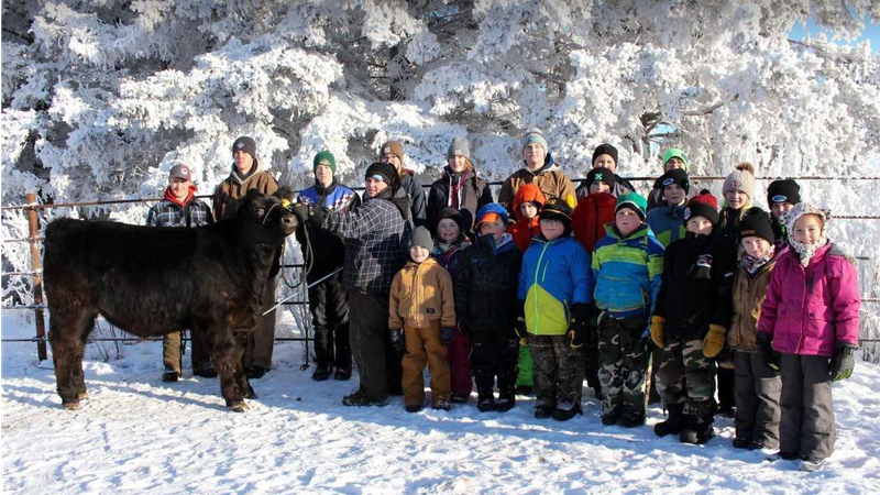 Weldon 4H Beef Club Report | paNOW
