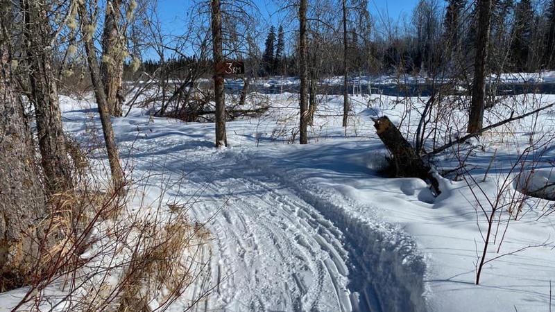 BORA approves of parks and trails master plan for La Ronge | larongeNOW