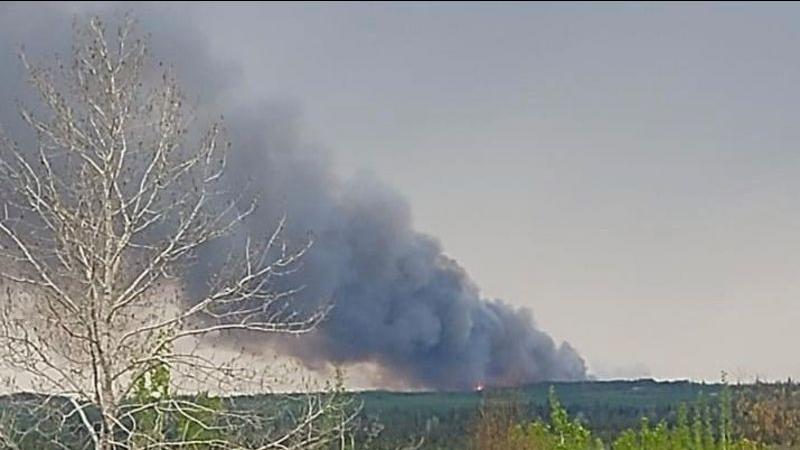 Wildfire near Prince Albert pulp mill contained | paNOW