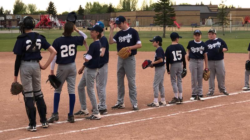 Baseball and Softball leagues in P.A. begin | paNOW