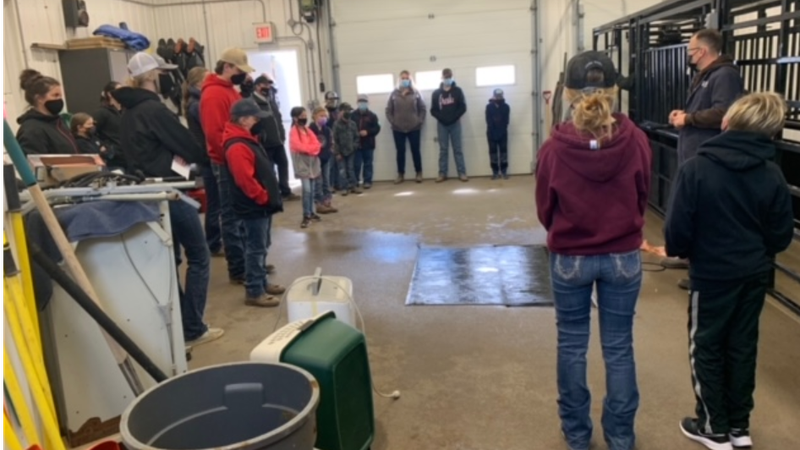 Weldon 4-H Beef Club Report | northeastNOW