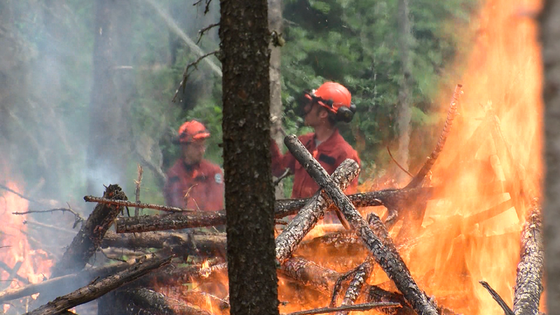 Four wildfires of note within the Prince George Fire Centre | CKPG Today