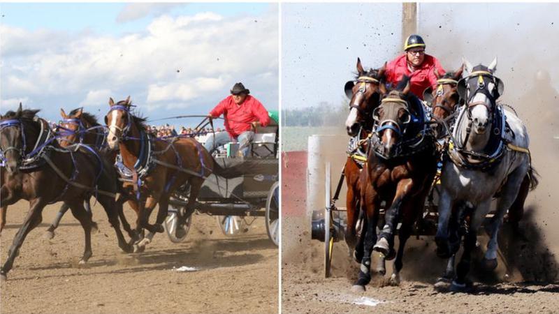 Regional talent thriving at North American Chuckwagon Championship ...