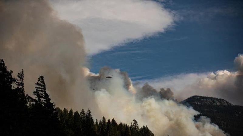 Total active wildfires climb in B.C., but crews exploit cooler weather ...
