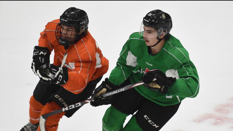 Concussion conversation shifts with times in hockey | paNOW