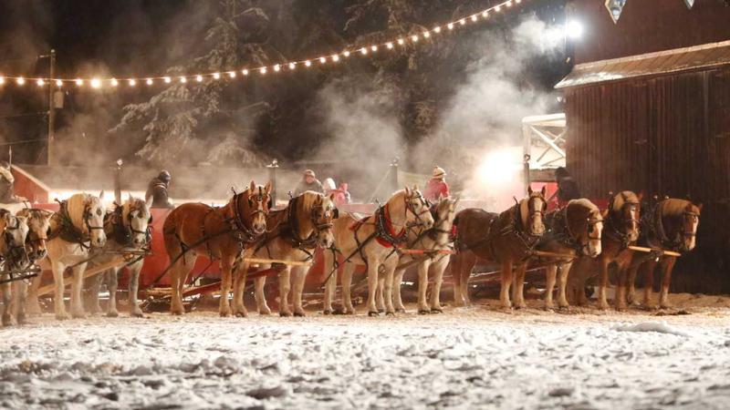 Caravan Farm Theatre makes joyful return to the stage | Vernon Matters