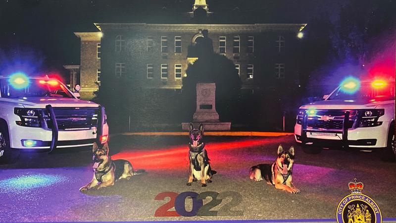 Prince Albert Police Service K9 Unit celebrating 45 years with calendar ...
