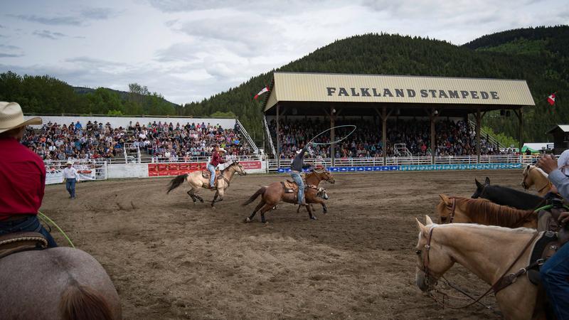 Falkland Stampede is ‘back in the saddle’ | Vernon Matters