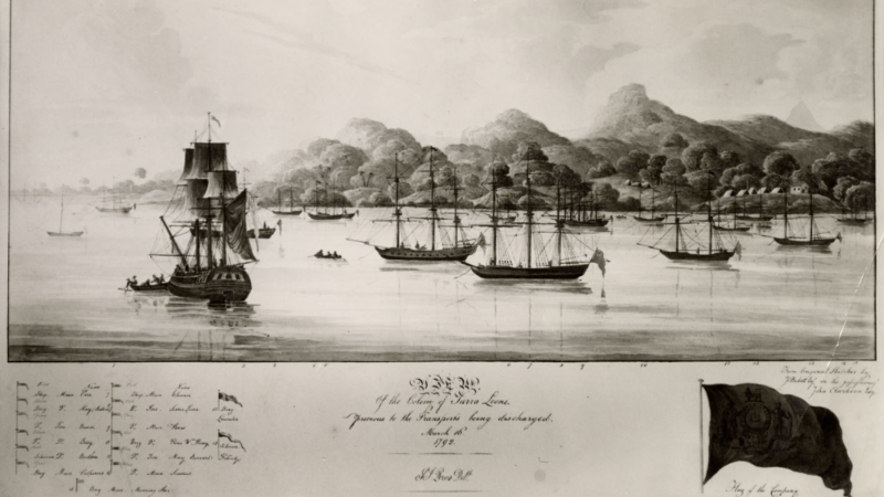 Red Deer proclaims 230th anniversary of Black Loyalist Exodus ...