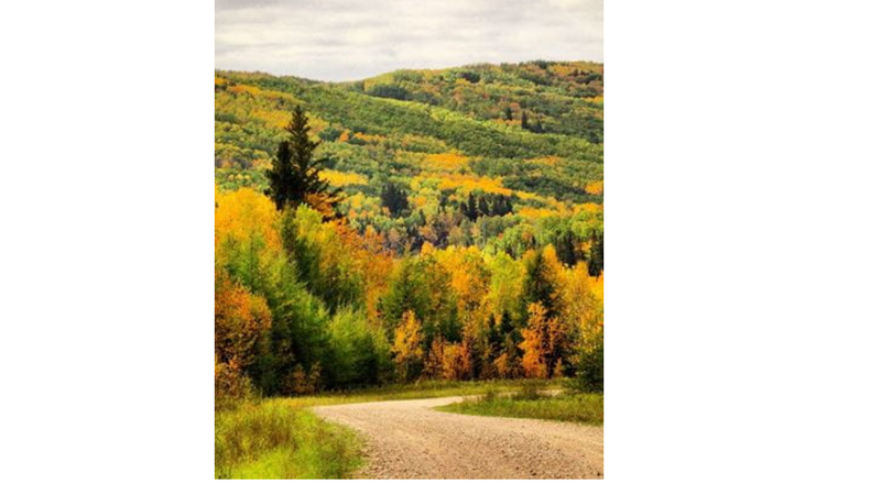 Camping Season Continues in Saskatchewan Provincial Parks | paNOW