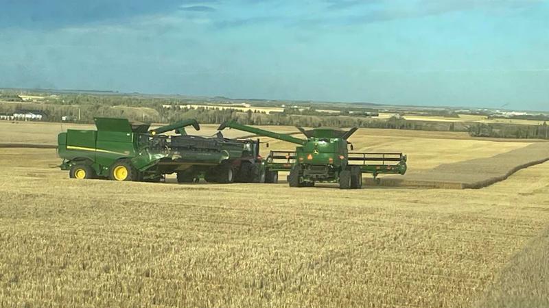 Federal fertilizer reduction and Peace region harvest with Grain ...