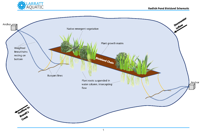 Floating gardens installed at Kelowna’s Redlich Pond | 104.7 The Lizard ...