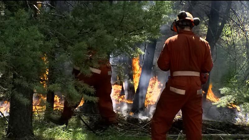 Downton Creek FSR wildfire: evacuation order issued by Squamish ...