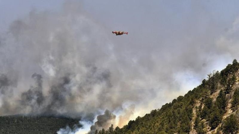 US restarts burns of forest fuel, paused after runaway blaze ...