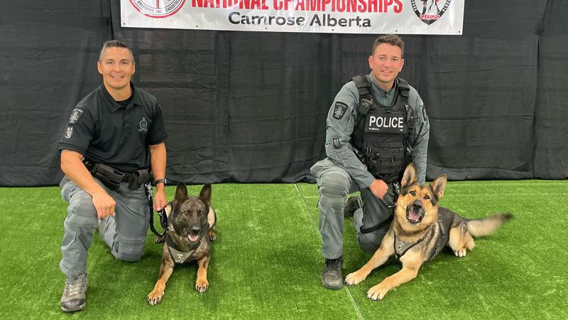 P.A. Police Service Dogs perform well at National Trials | paNOW