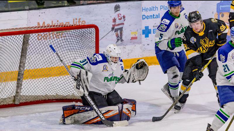 Raiders add depth in net, acquire Venne from Medicine Hat | paNOW