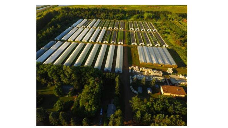 PRT Growing Services Celebrates 25 Years | paNOW