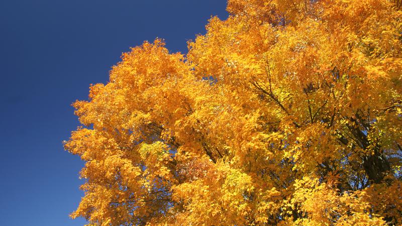 Warmest October on record for Vernon and Kelowna | 104.7 The Lizard ...