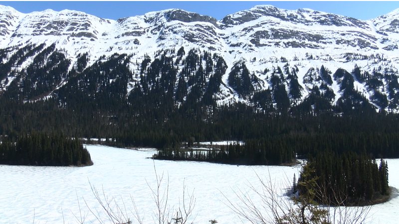 Potentially hazardous driving conditions in the Pine Pass | CKPG Today