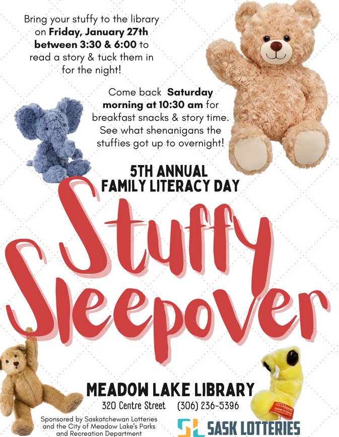 Stuffy Sleepover for Literacy Day | meadowlakeNOW