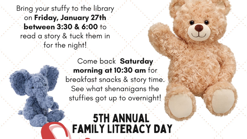 Stuffy Sleepover for Literacy Day | meadowlakeNOW