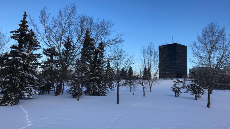 Polar vortex over Siberia could end up on the Prairies | EverythingGP