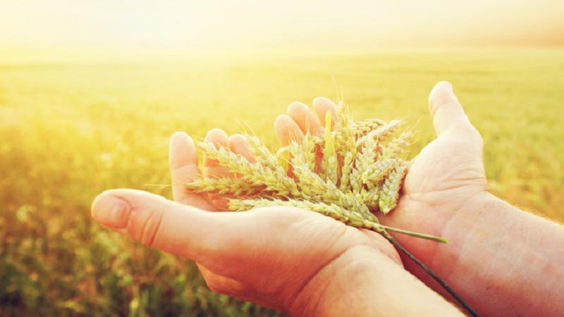 New Crop Trade and Technical Mission Reaches Customers in 15 Countries ...