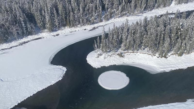 Rare ice disc dots confluence of North Thompson, Clearwater rivers ...