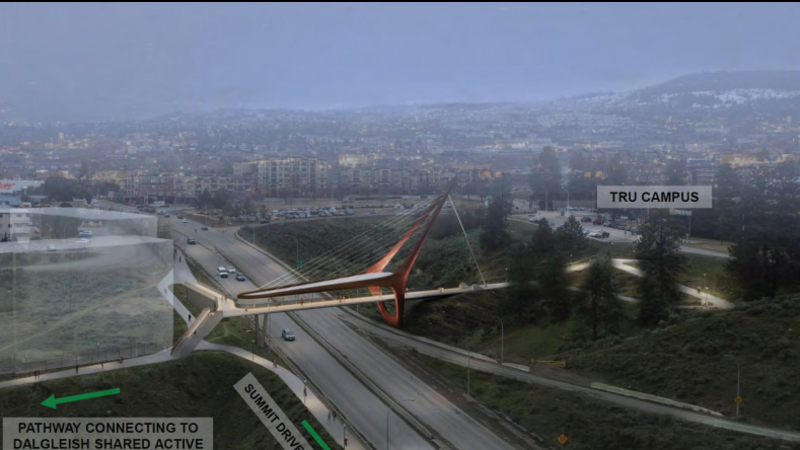 ROTHENBURGER: The perfect way to waste money – Summit pedestrian ...