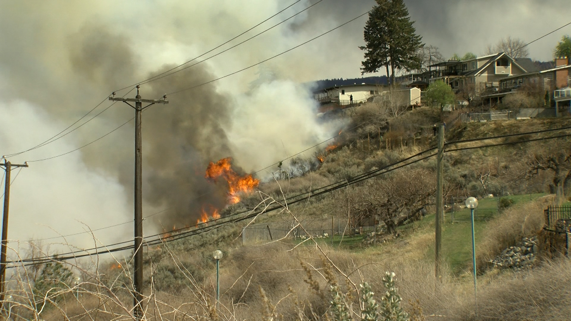 Grass fire caused by campfire; RCMP launch criminal probe | Vernon Matters