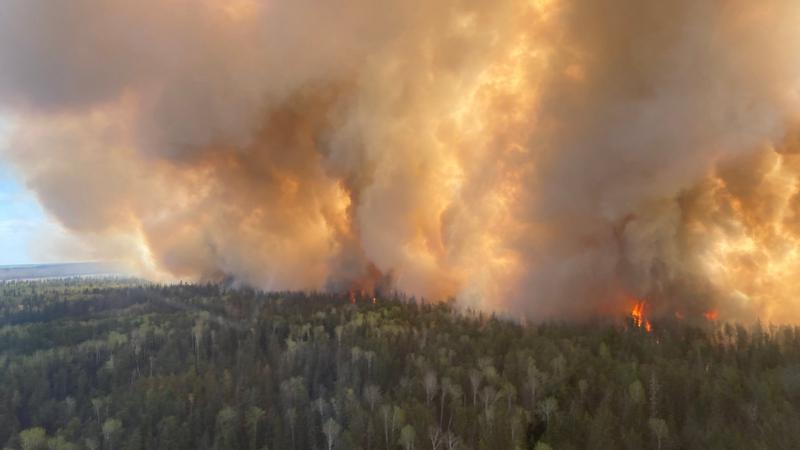 Extreme wildfire hazard in Peace River, High Level Forest Areas ...