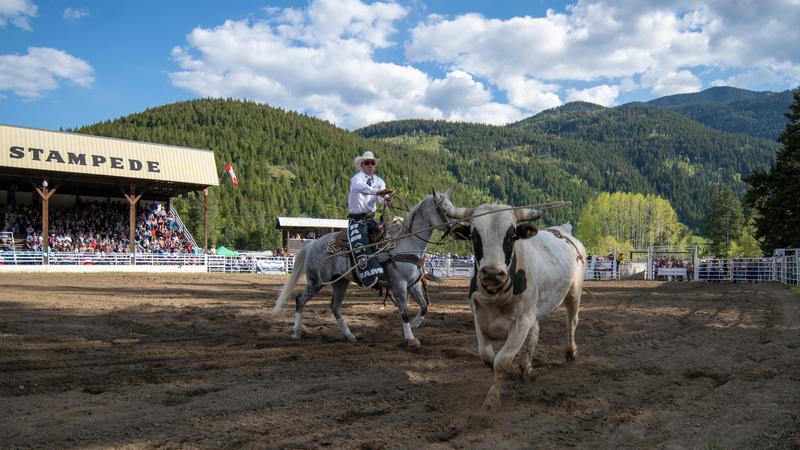 Organizers prepare for bigger crowds at Falkland Stampede | Vernon Matters