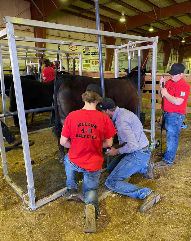 Push Yourself Because No One Is Going to Do it For You | paNOW