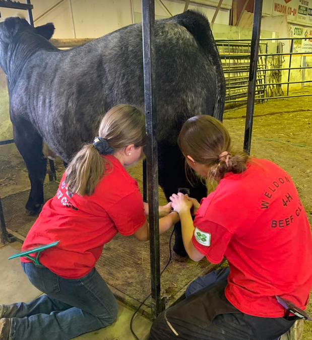 Push Yourself Because No One Is Going to Do it For You | northeastNOW