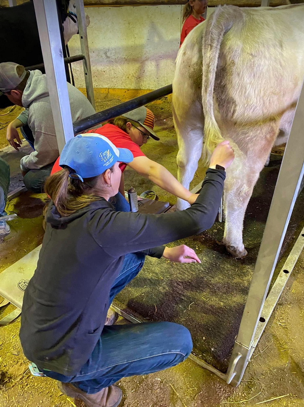 Push Yourself Because No One Is Going to Do it For You | paNOW