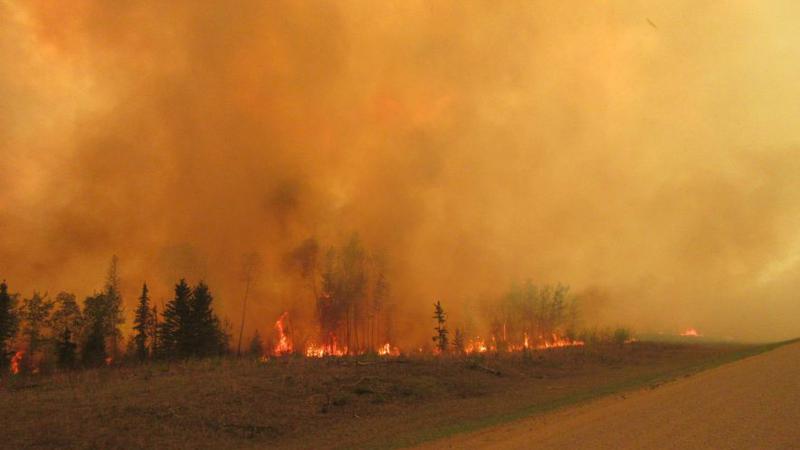 Rain expected to hit parts of northern Saskatchewan wildfires | paNOW