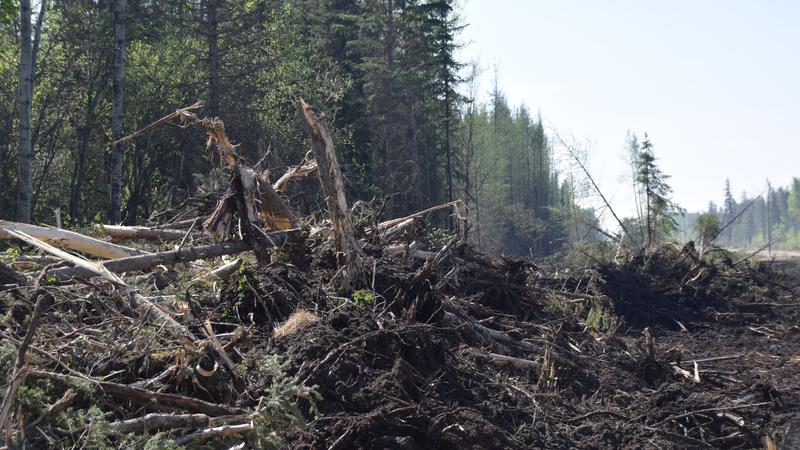 Firebreak south of Grande Prairie completes first phase | EverythingGP