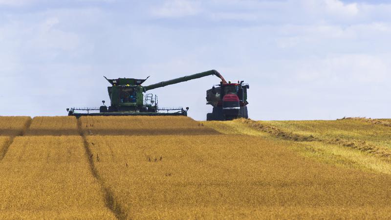 New scholarship program launches for agriculture students at Olds ...