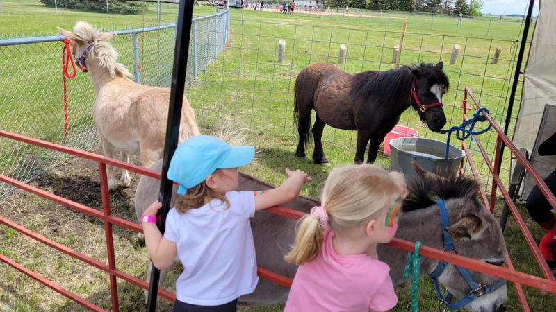 Second Ballapalooza brings hundreds to town of Shellbrook | paNOW