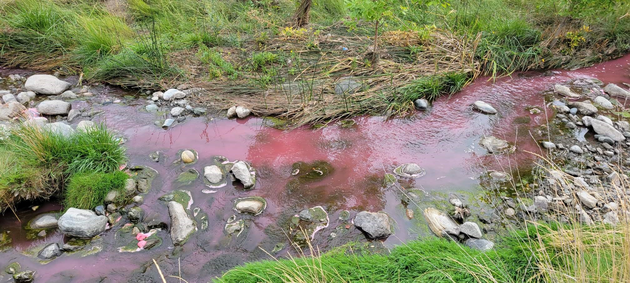 MoE, Kamloops Fire Rescue investigate pink liquid flowing into Guerin ...