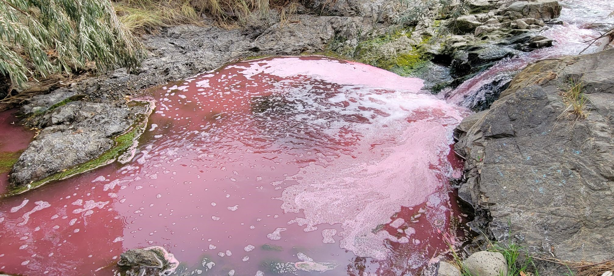 MoE, Kamloops Fire Rescue investigate pink liquid flowing into Guerin ...