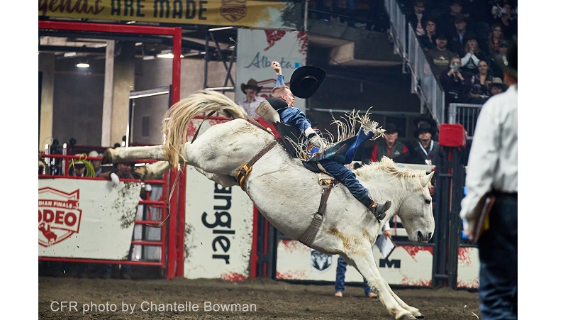 CPRA year-end Livestock Awards announced | rdnewsnow.com