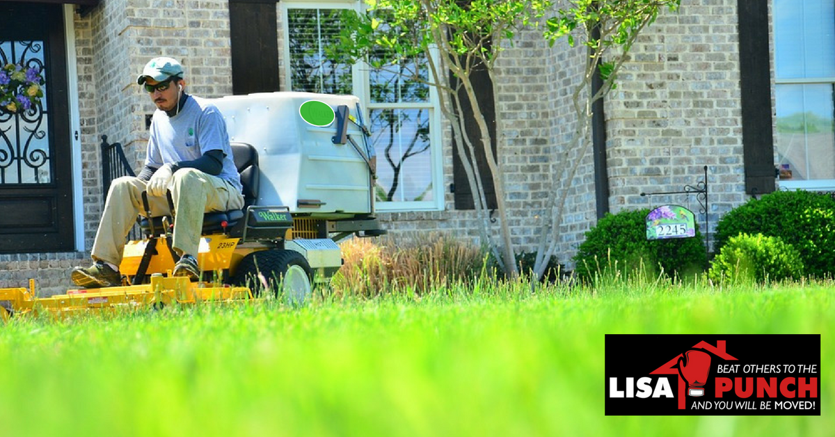 Tree Amigos Landscaping specialists in Virgil – Call: 905-937-5353 ...