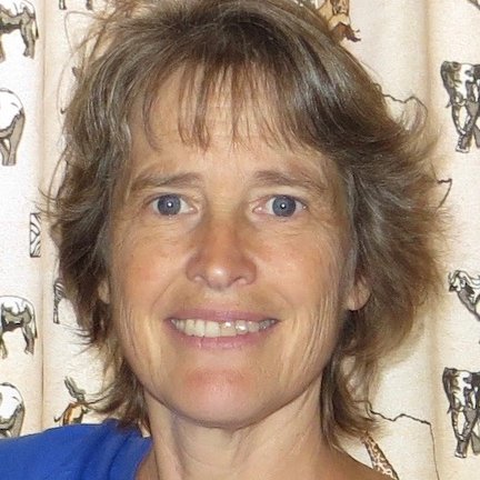 MIT Solve | Lisa Robinson-Spader