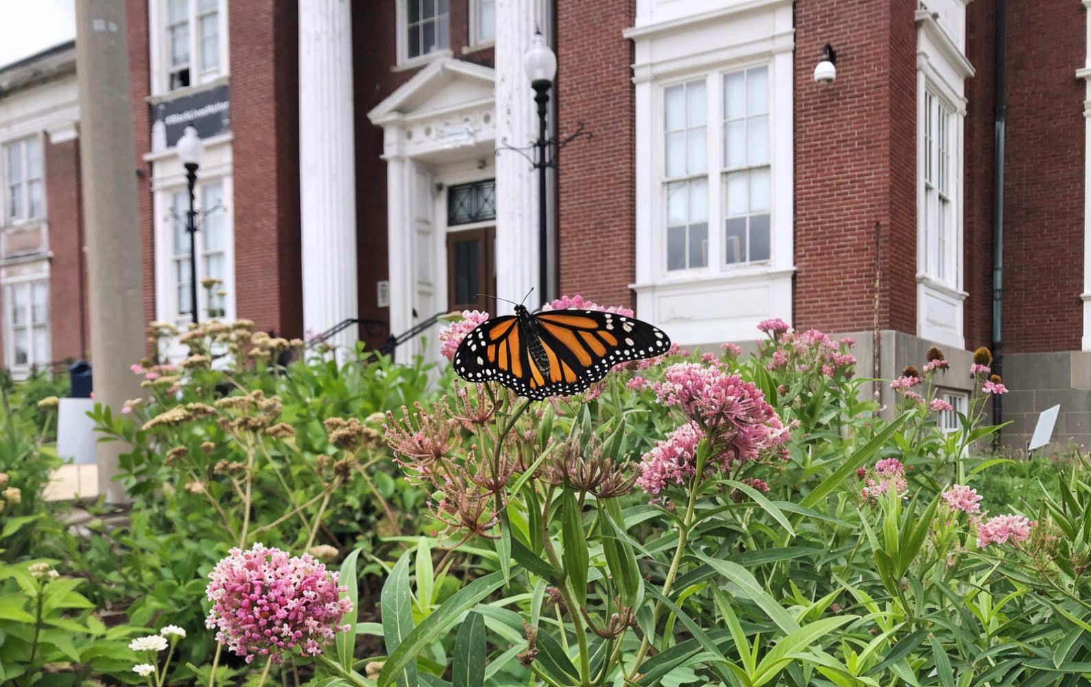 photoshopped bus # on the parking dept website : r/Somerville