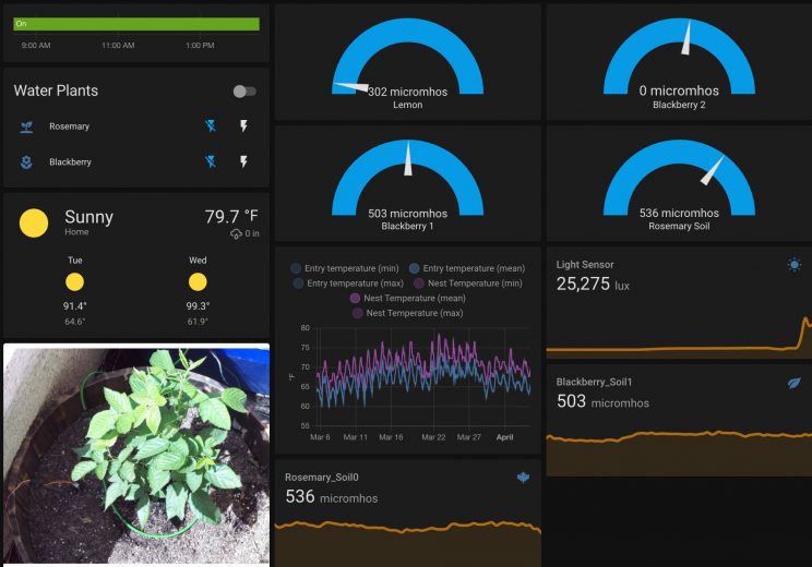 My garden keeps growing! – somethingdotsomething